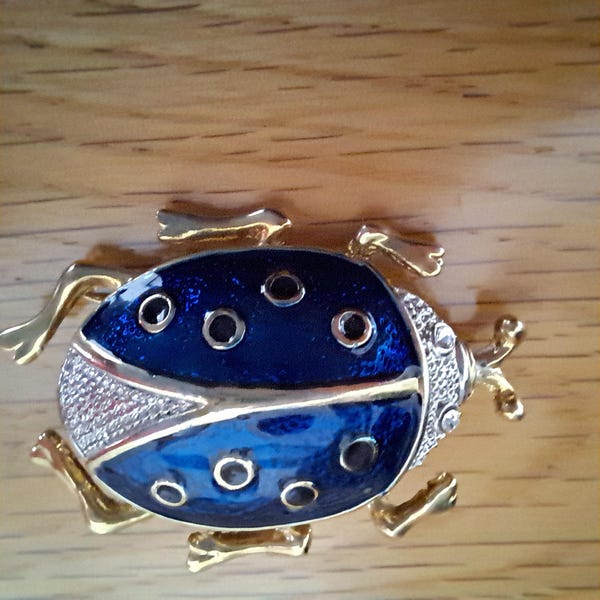 Ladybird Brooch - Etsy