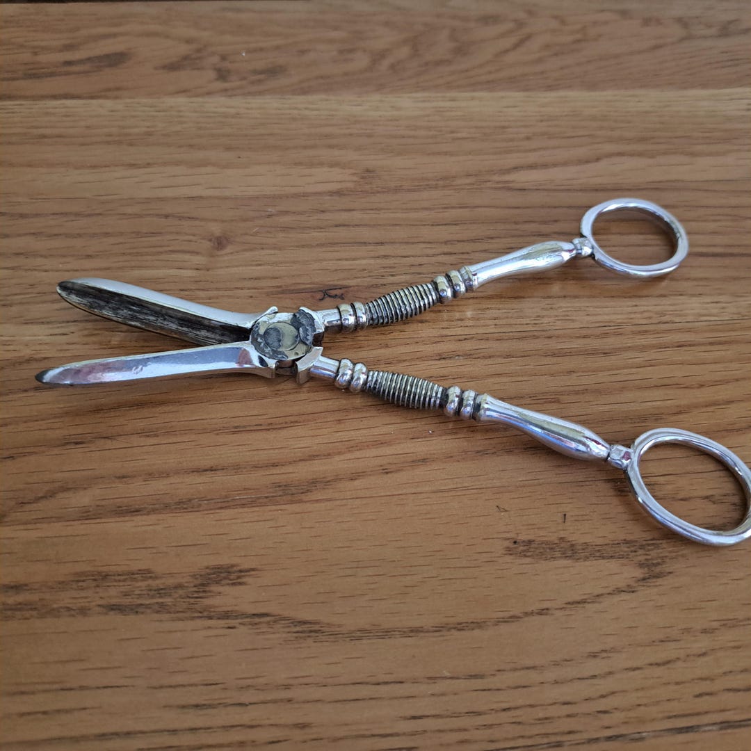 Vintage Silver Plate Grape Scissors, Collectable Fruit Shears - Etsy