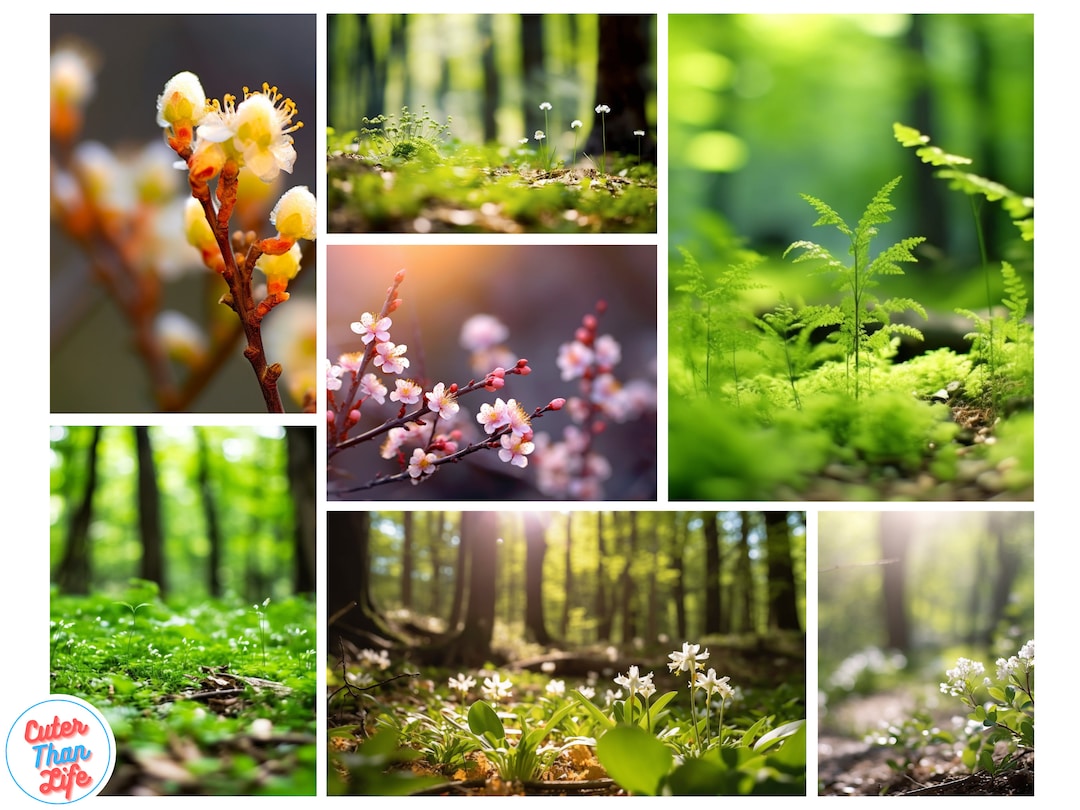 X20 Stock Photos Nature | Nature Stock Photos, Spring Nature Stock ...