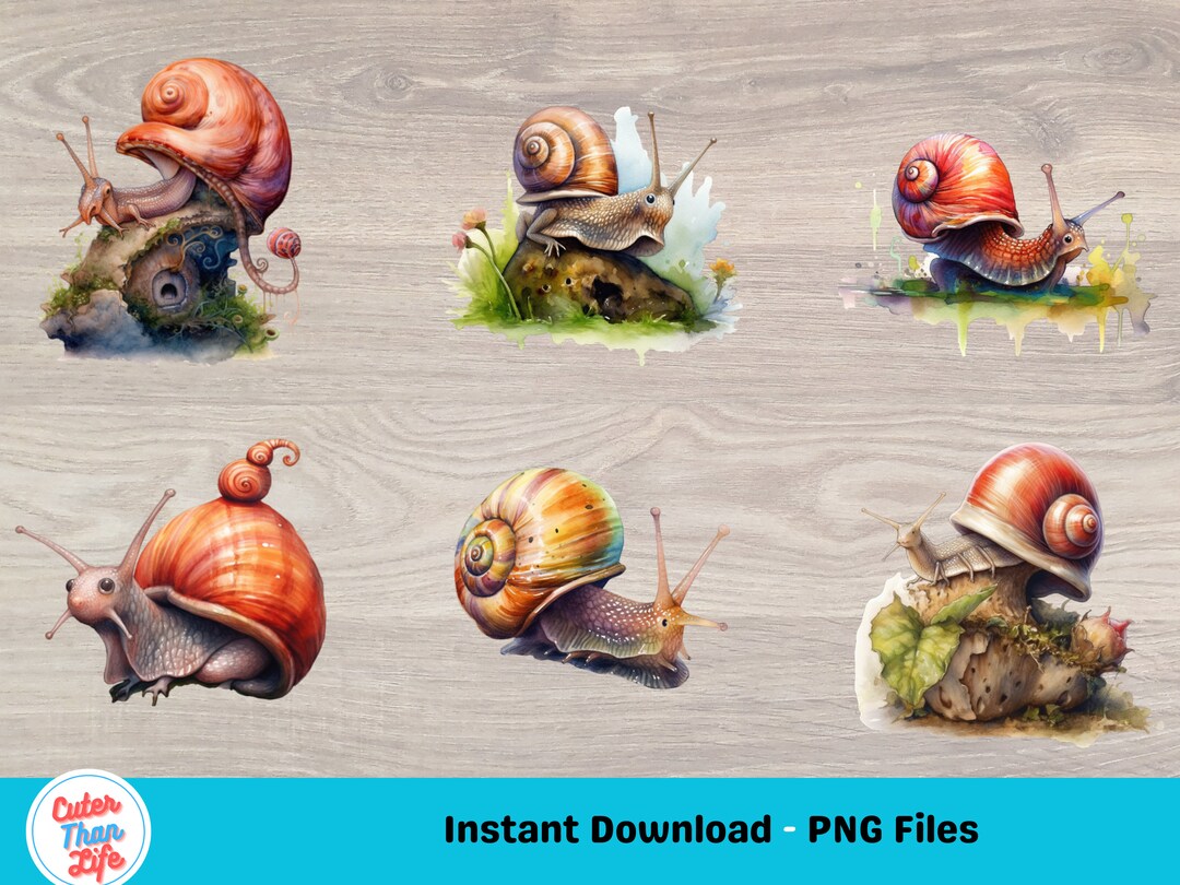 X25 Goblincore Snail Clipart, Snail Watercolor Clipart Bundle, Witchy ...