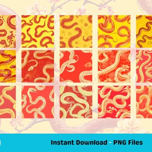 X30 Snake Lunar New Year Chinese Digital Papers - Commercial Use ...