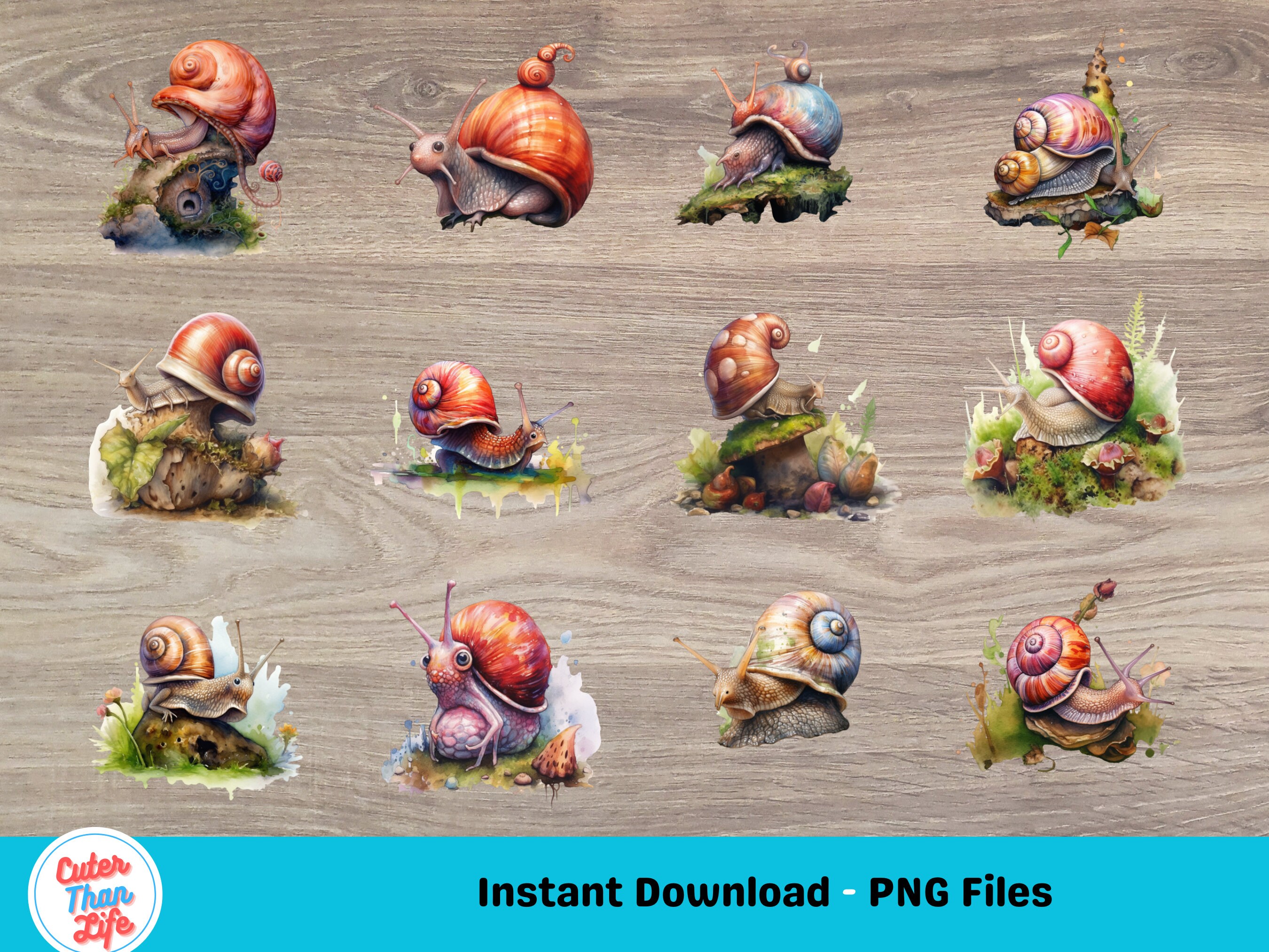 X25 Goblincore Snail Clipart, Snail Watercolor Clipart Bundle, Witchy ...