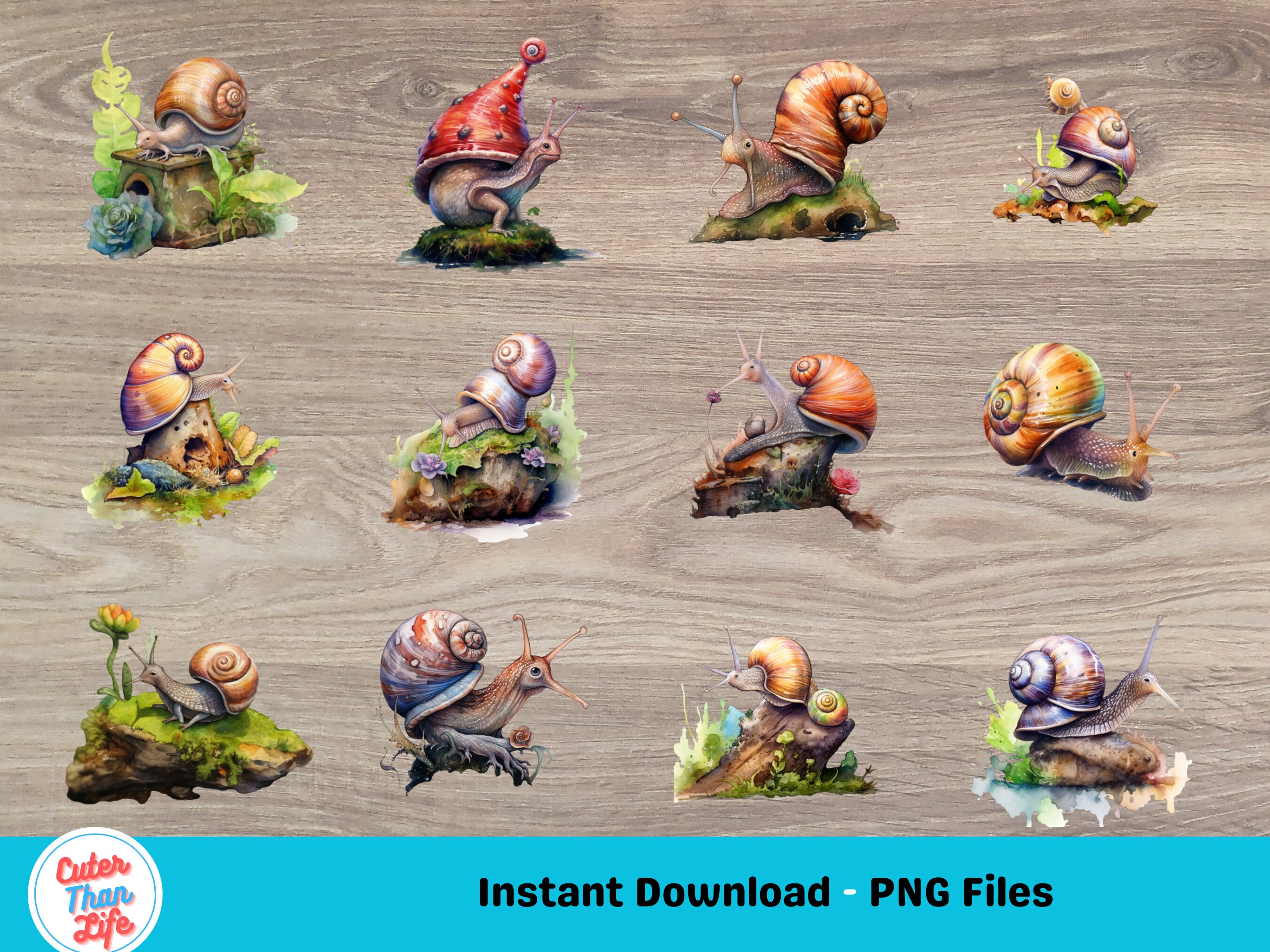 X25 Goblincore Snail Clipart, Snail Watercolor Clipart Bundle, Witchy ...
