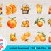 20 Watercolor Oranges | Commercial License, Oranges Clip Art, Oranges ...