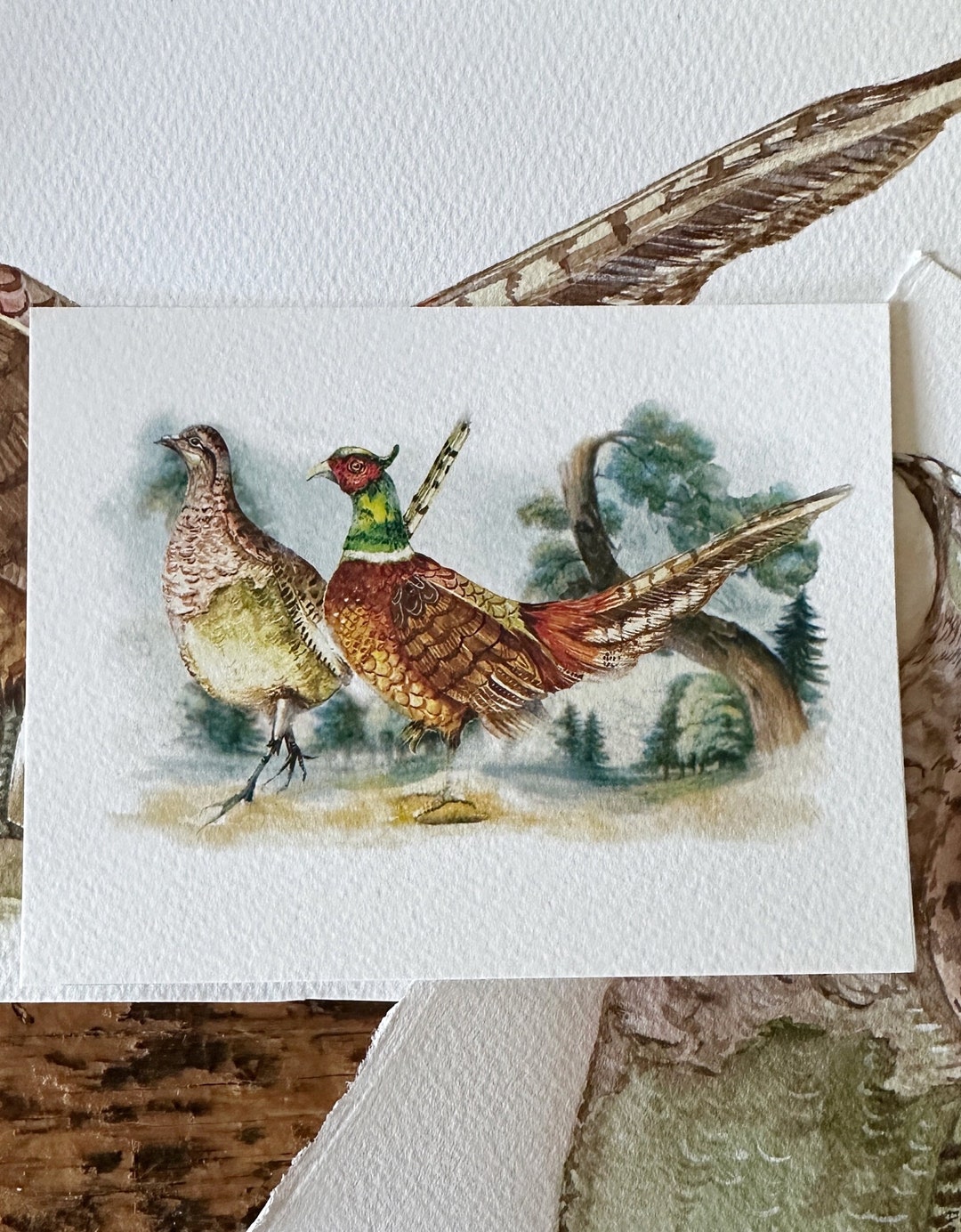 Custom Pheasant Watercolor Notecards: Personalized Stationery Gift, Set ...