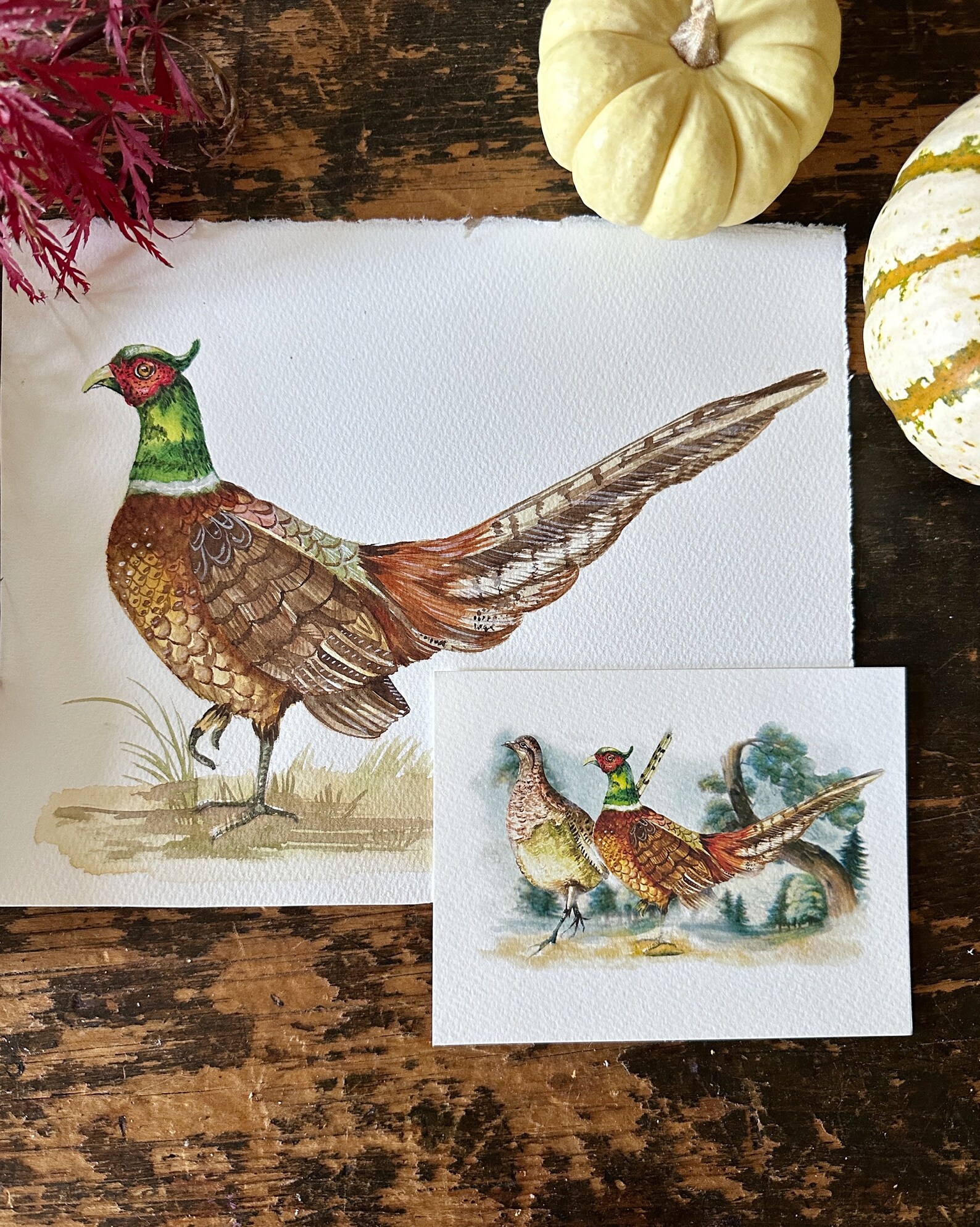 Custom Pheasant Watercolor Notecards: Personalized Stationery Gift, Set ...