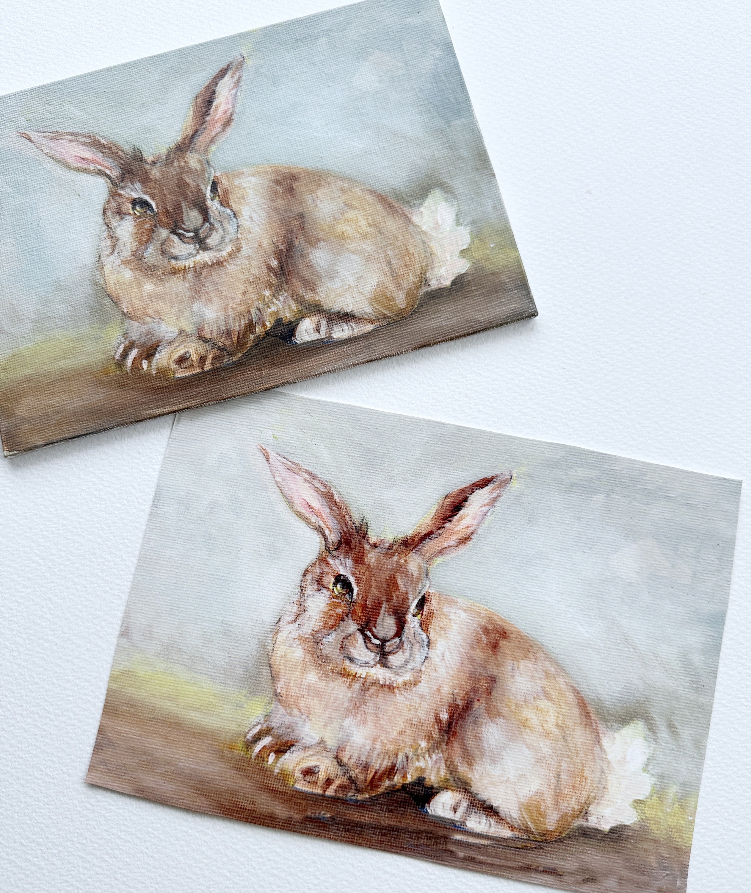 Bunny Rabbit Print, Bunny Oil Painting Print, Rabbit Oil Painting ...