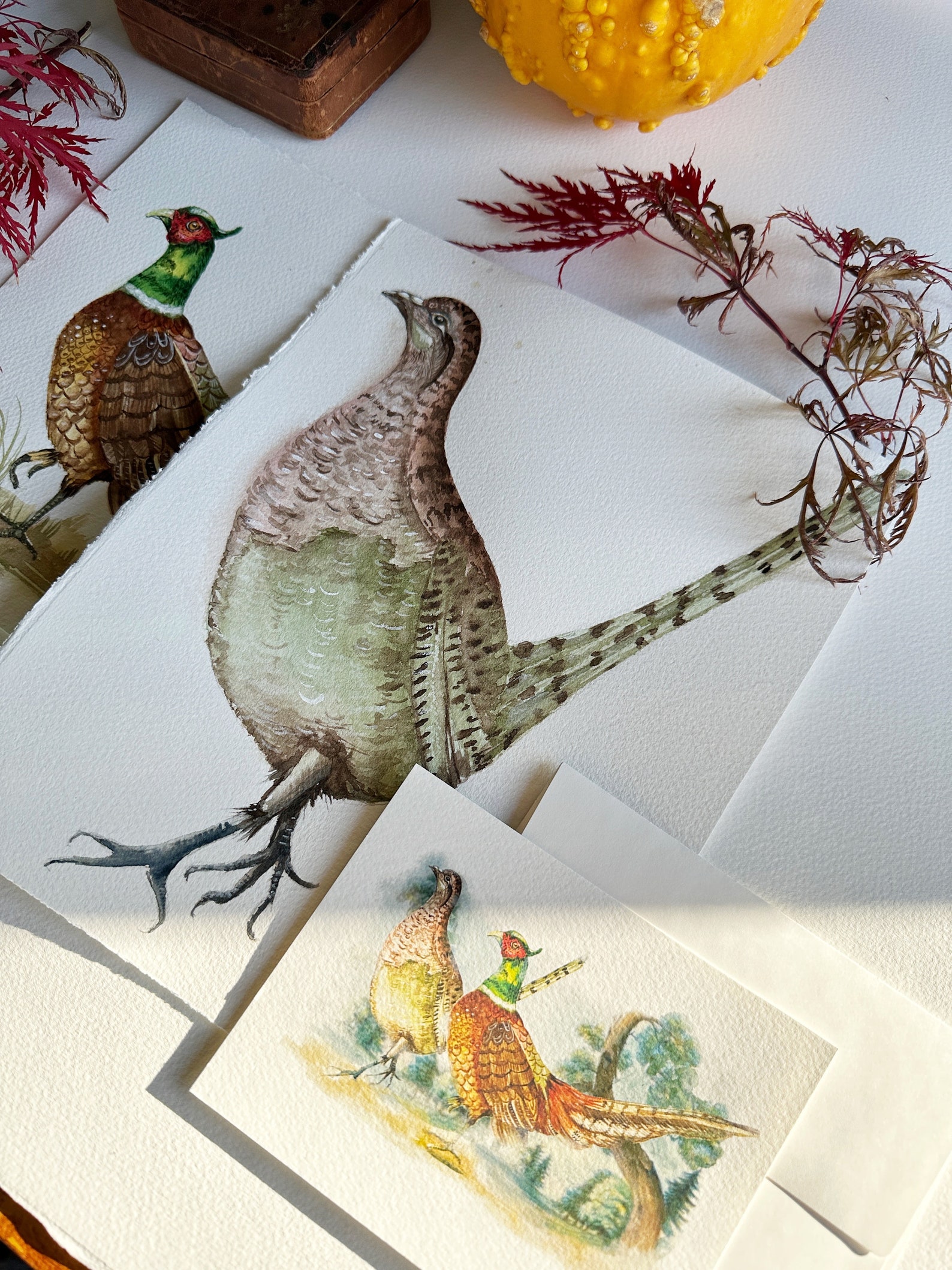 Custom Pheasant Watercolor Notecards: Personalized Stationery Gift, Set ...