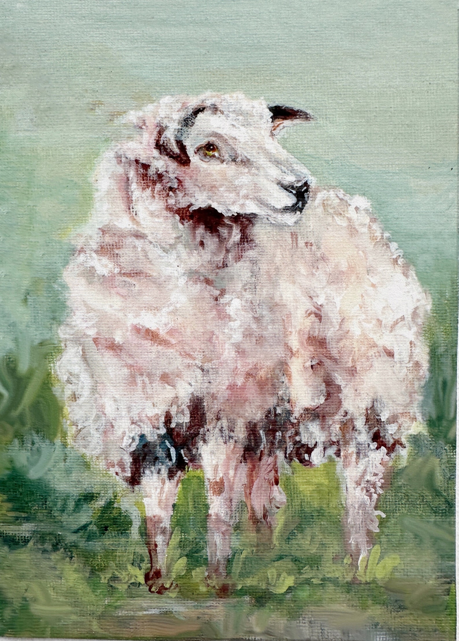 Sheep Print, Wooly Sheep Oil Painting Print, Ewe Oil Painting Giclee ...