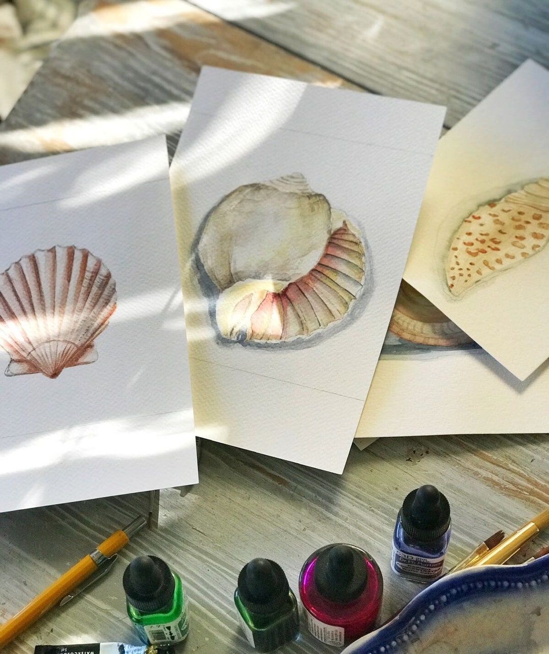 Seashell Art, Watercolor Painting, Original Painting, Coastal ...