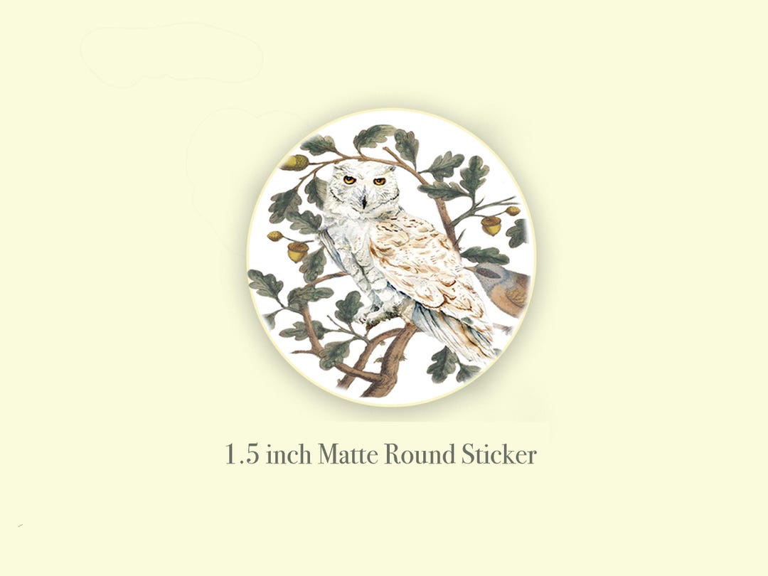 Watercolor Snowy Owl Sticker: Matte Round Envelope Seal - Etsy
