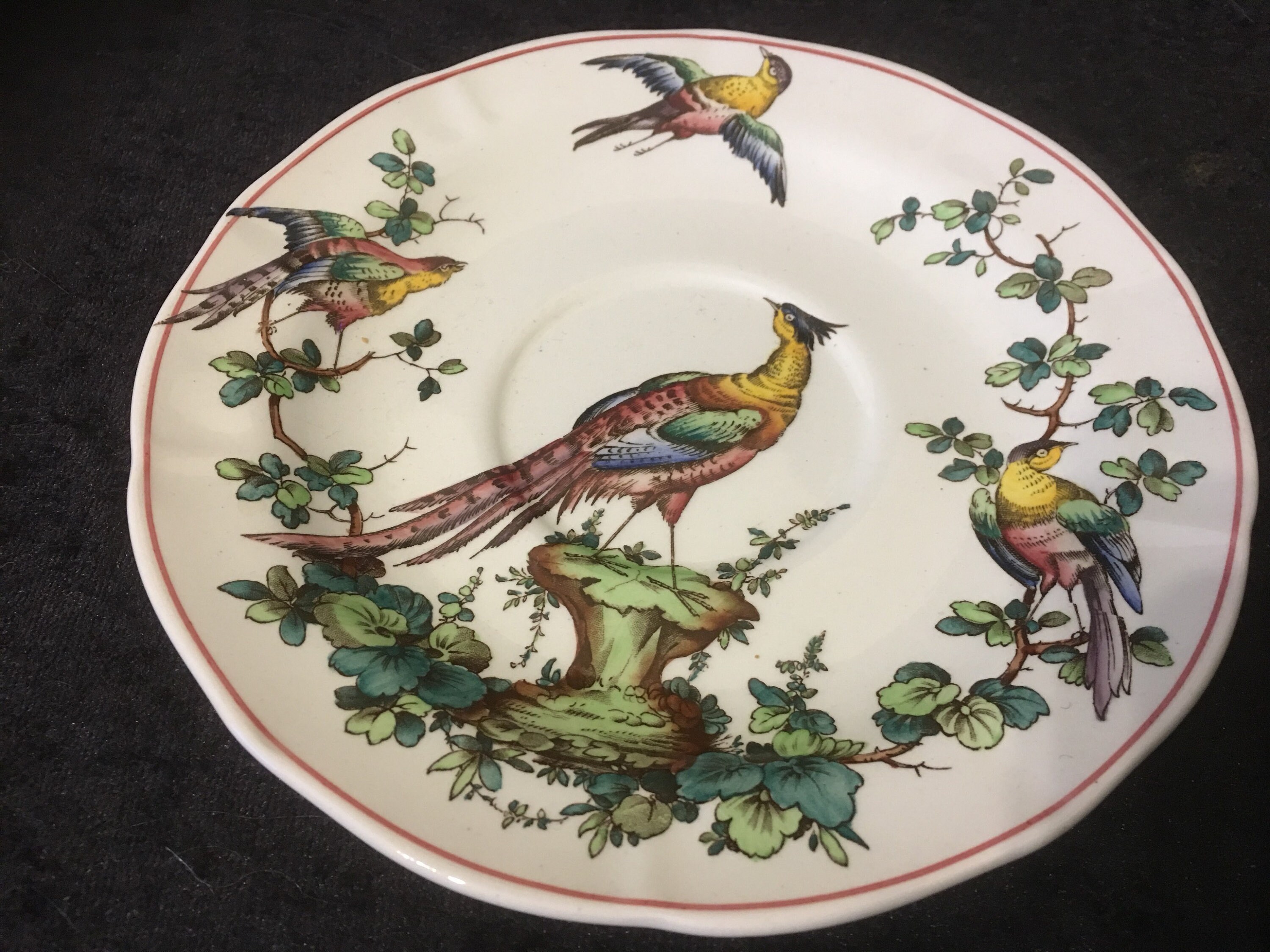 Vintage Spode Chelsea Bird Red Line Border 7 Inch 18cm | Etsy