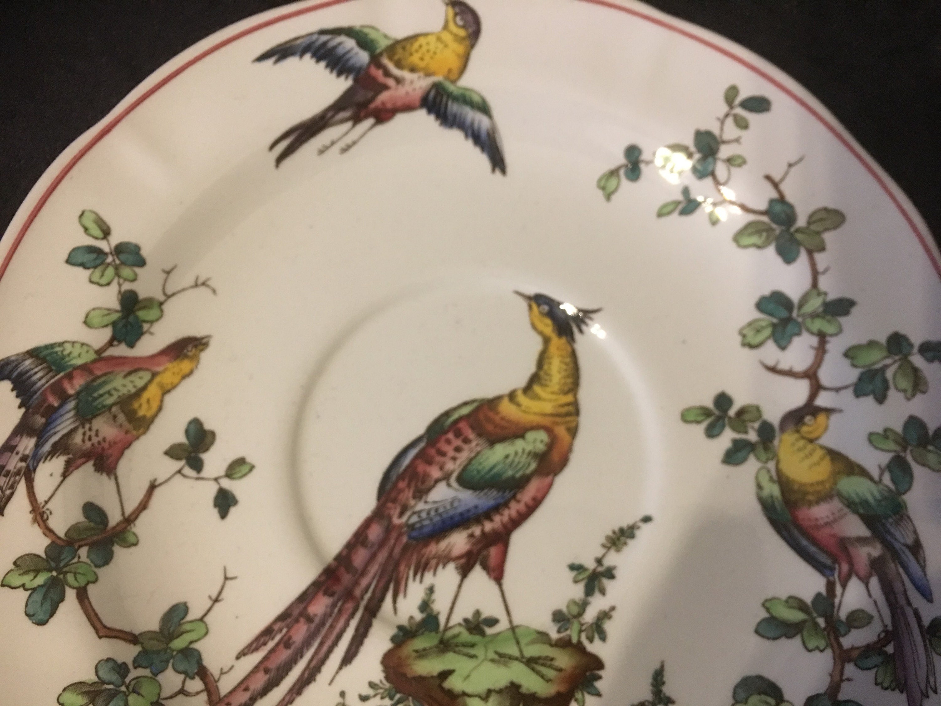 Vintage Spode Chelsea Bird Red Line Border 7 Inch 18cm | Etsy