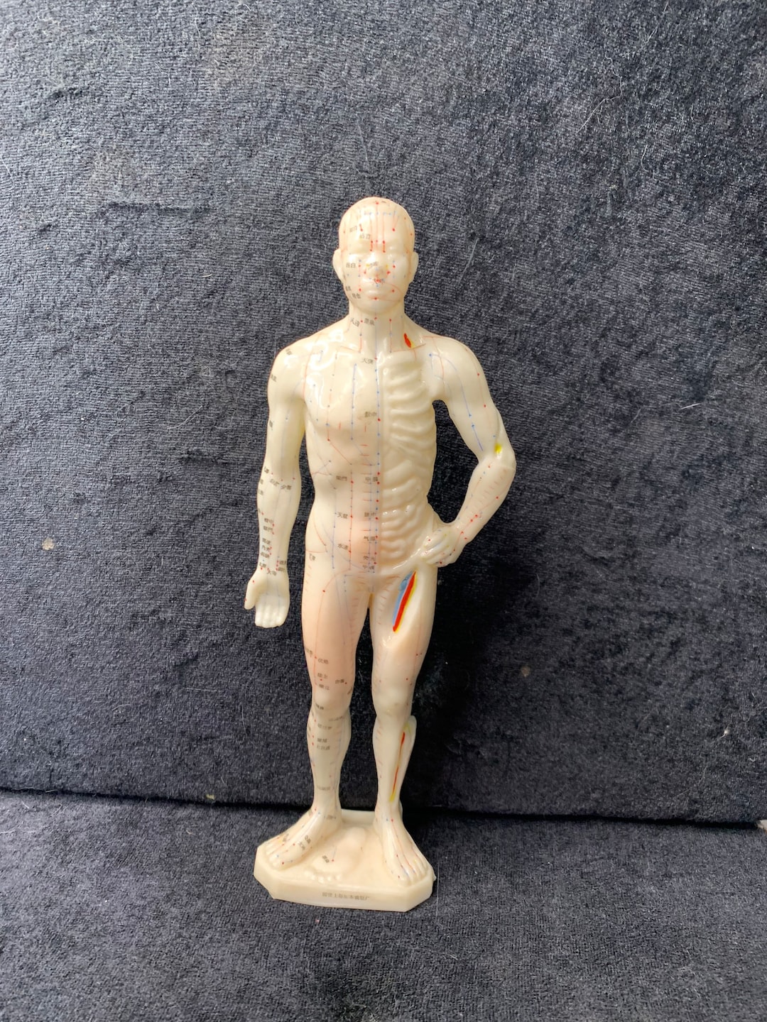 Vintage Acupuncture Point Model in Its Original Box With Instructions ...