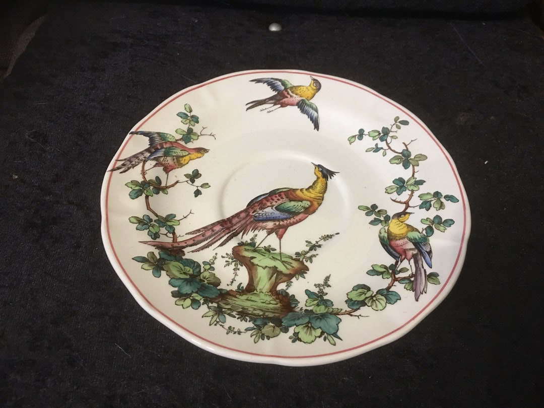 Vintage Spode Chelsea Bird Red Line Border 7 Inch ( 18cm) Multi Use ...