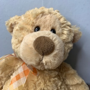 Vintage Gund Manni 15015 Soft Plush Bear - Etsy