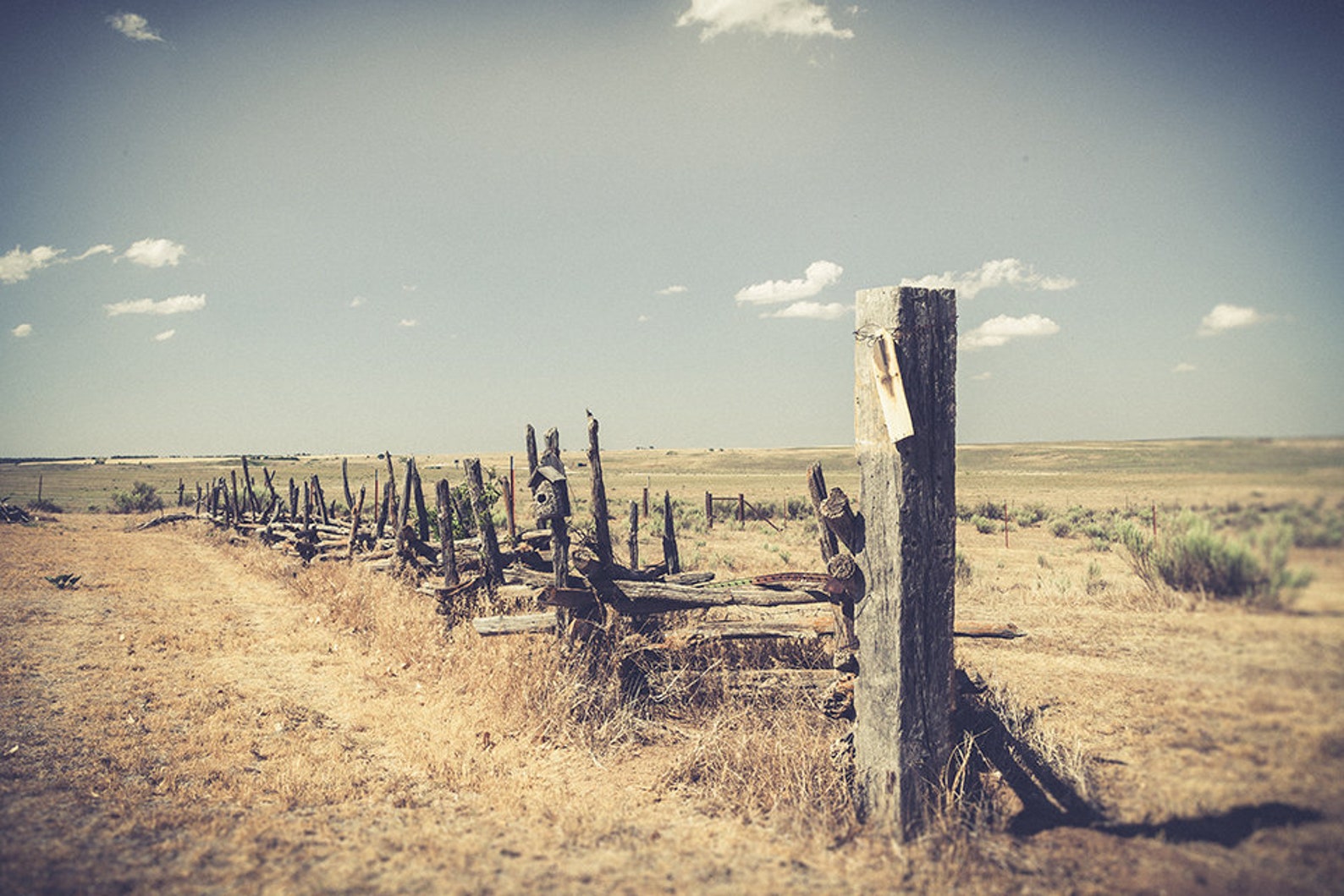 Hot Summer Fine Art Print, Texas Ranch Photography, Panhandle Wall Art ...