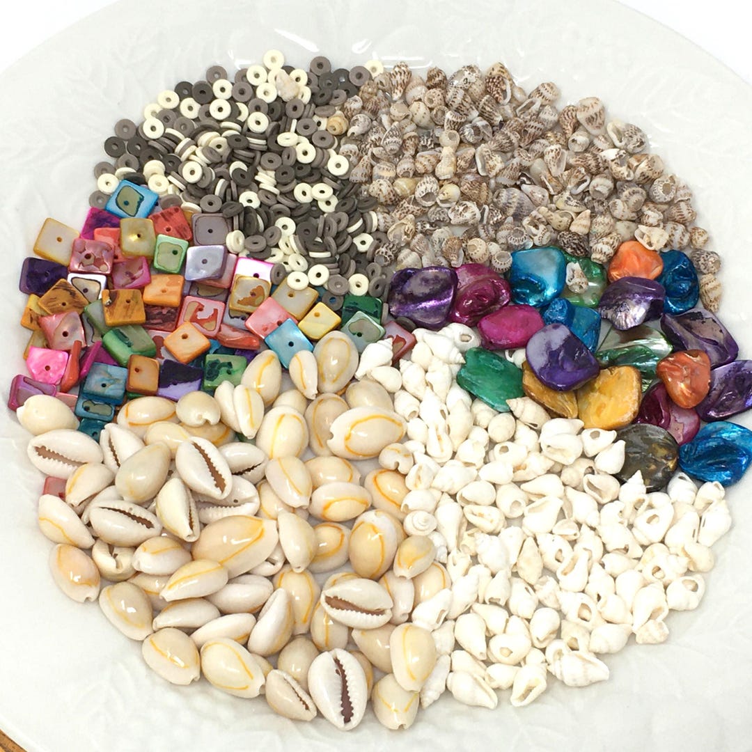 Sea Shell Beach Bead Soup, Mixed Lot of Tiger Nassa Ringtop Cowrie ...