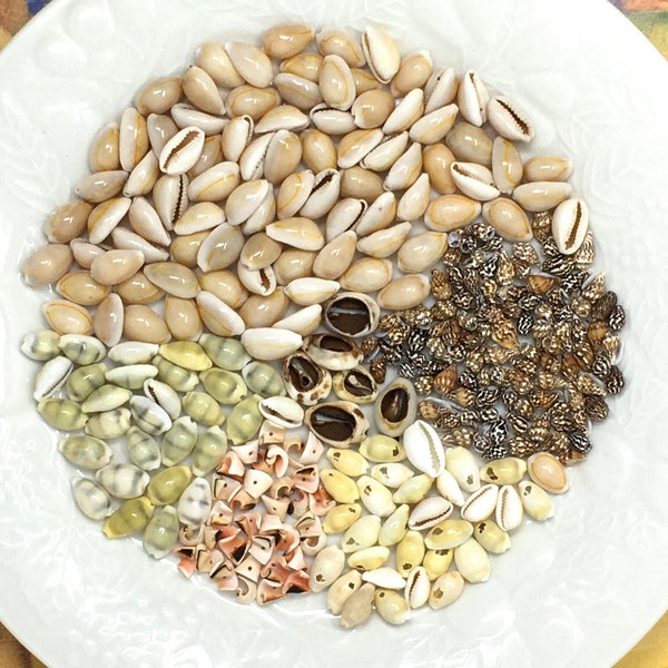 Bead Assortment - Etsy