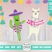 Llama Party Cake Topper Llama Birthday Party Cacti Its My Birthday ...