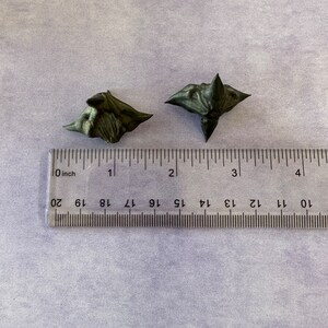 Devil Pods | Bat Nuts| Water Caltrops | Protection | All Natural - Etsy