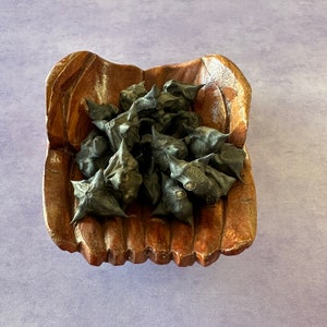 Devil Pods | Bat Nuts| Water Caltrops | Protection | All Natural - Etsy