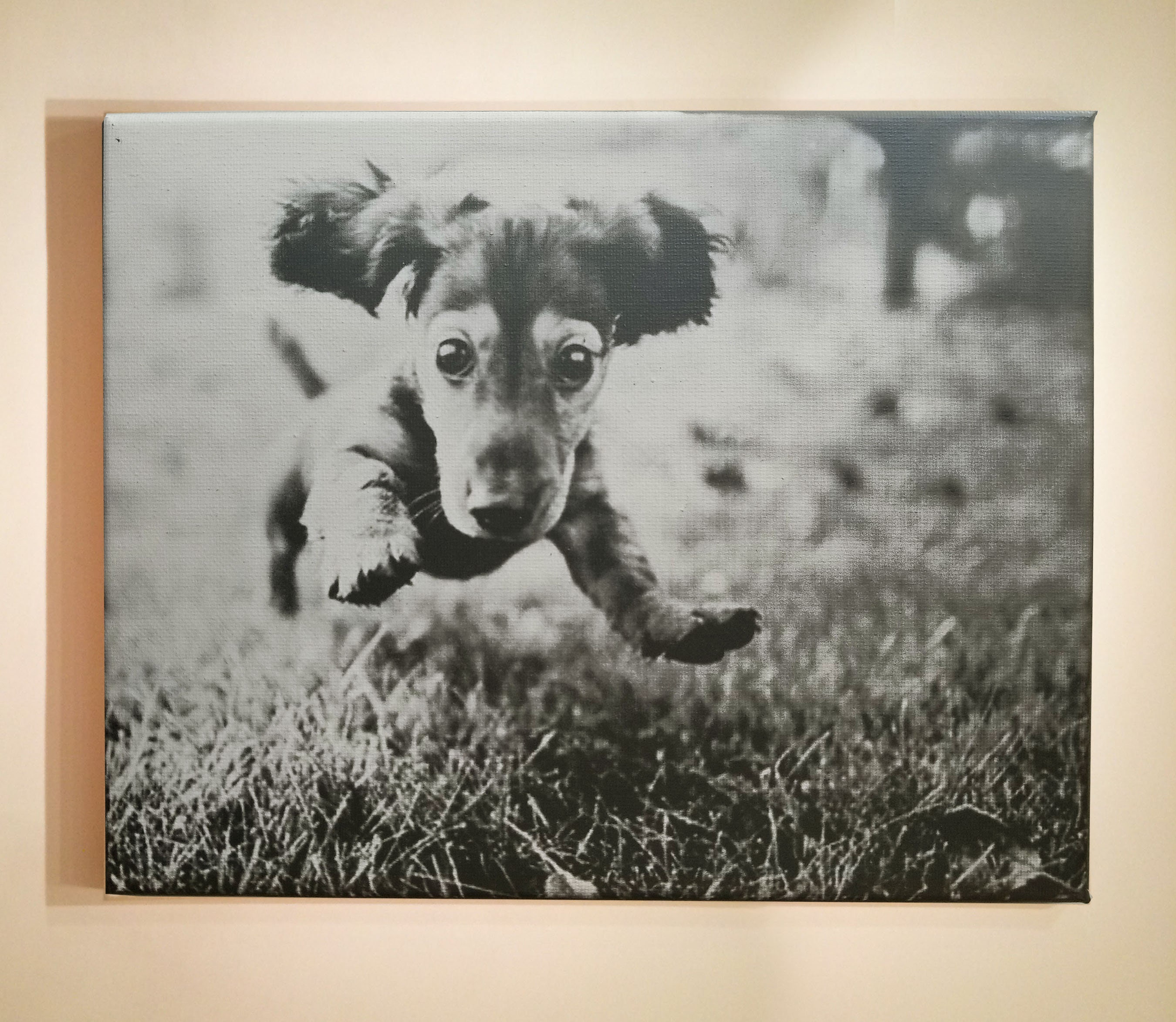 Laser Engraved Canvas 8''x 10'' - Etsy