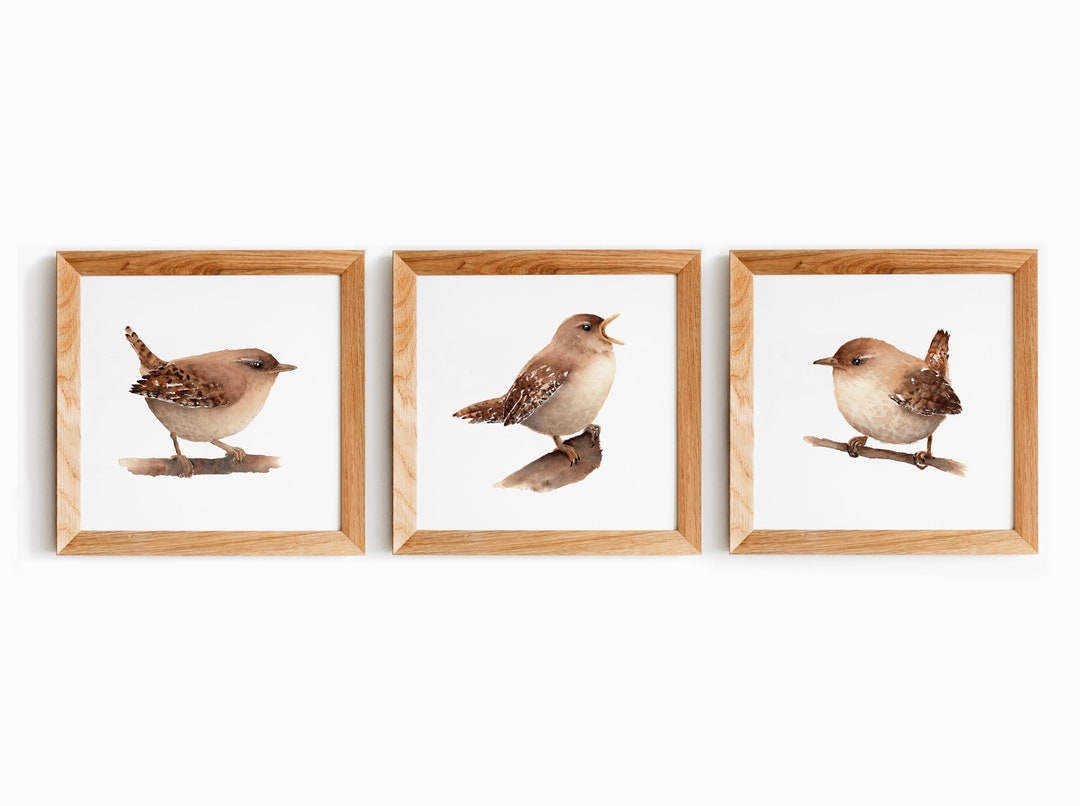 Wren Bird Prints Set: British Garden Birds Wall Art - Etsy