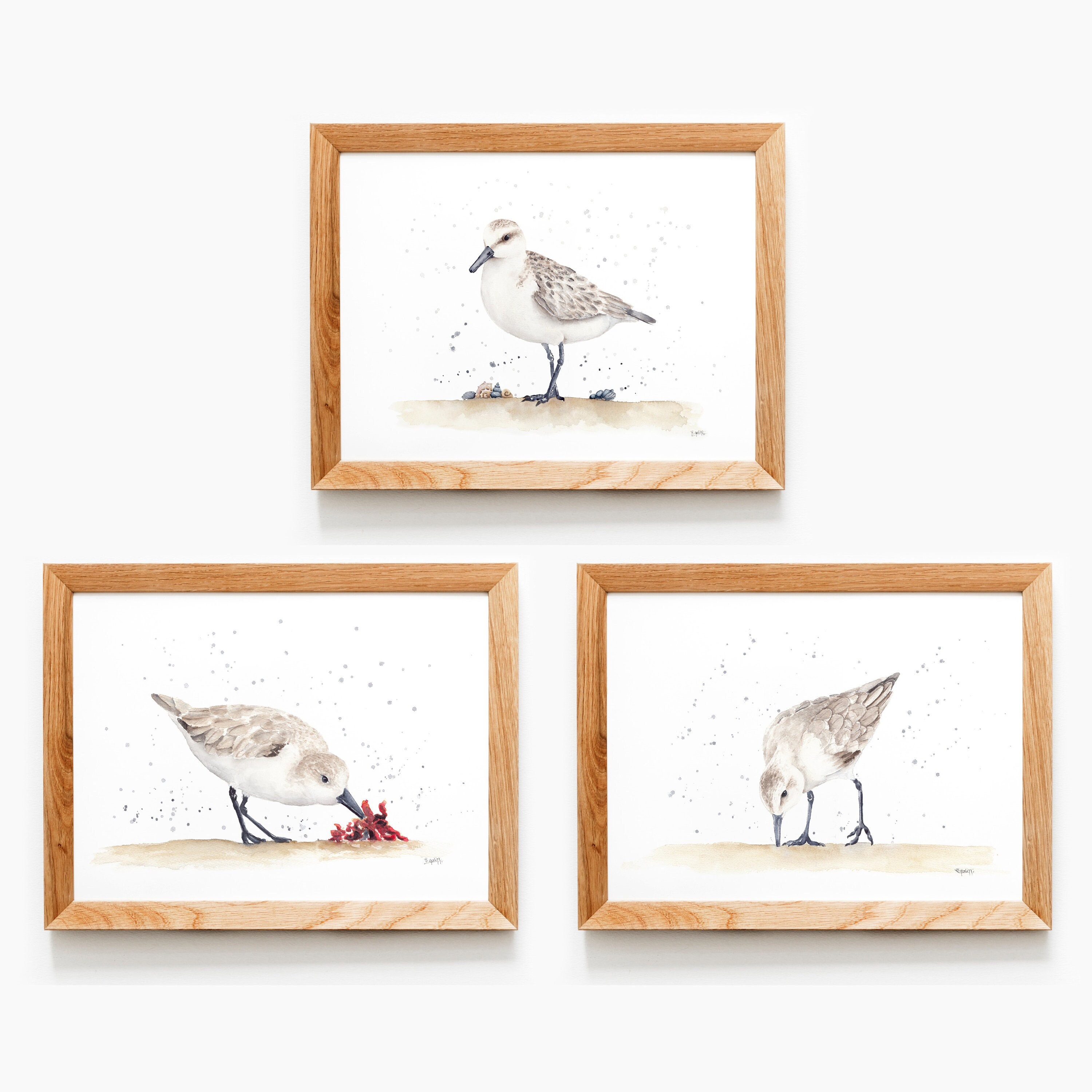 Set of 3 Sanderling Bird Print Sandpiper Wall Art Prints - Etsy