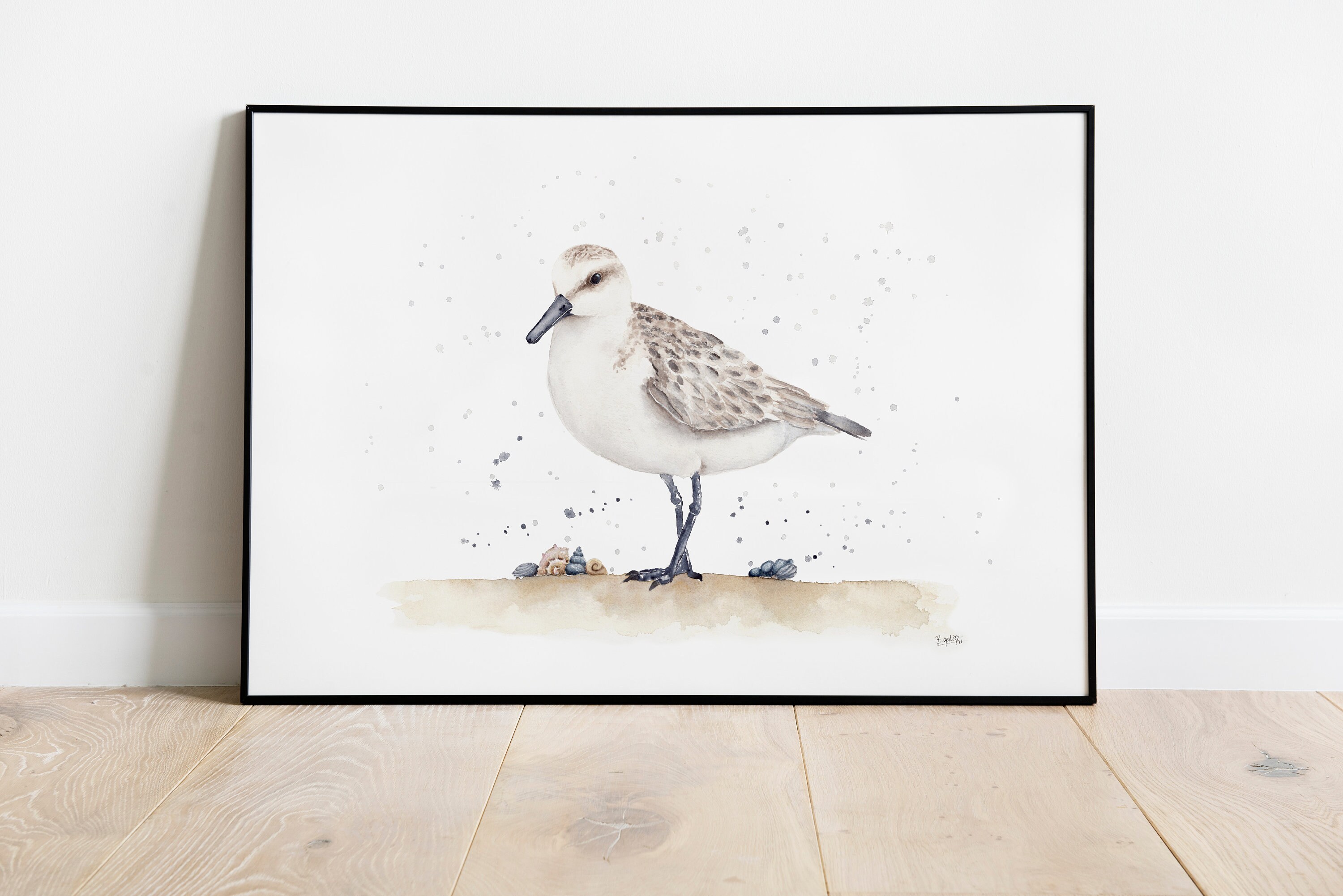 Set of 3 Sanderling Bird Print Sandpiper Wall Art Prints - Etsy