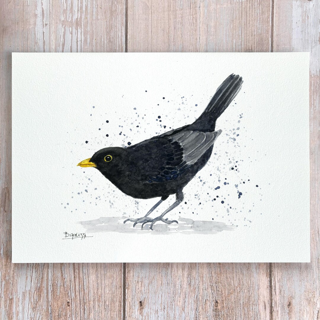 Blackbird Print: British Garden Bird Watercolour Wall Art Print - Etsy UK