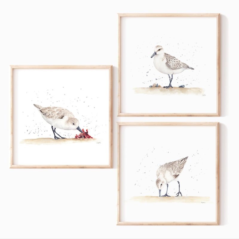 Sandpiper Painting - Etsy