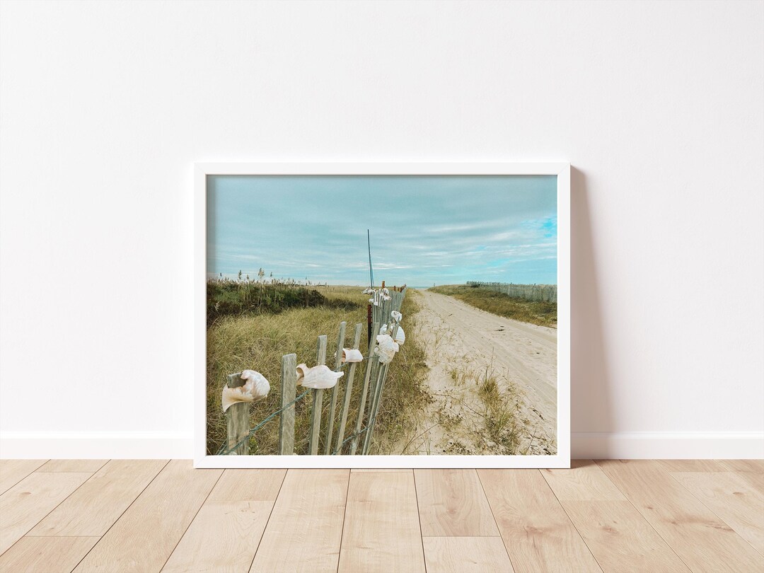 Nantucket Shells Fine Art Photography - Etsy