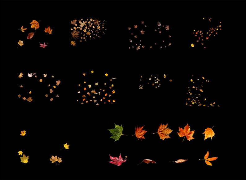 92 Realistic Falling Autumn Leaves Photo Overlays Natural - Etsy