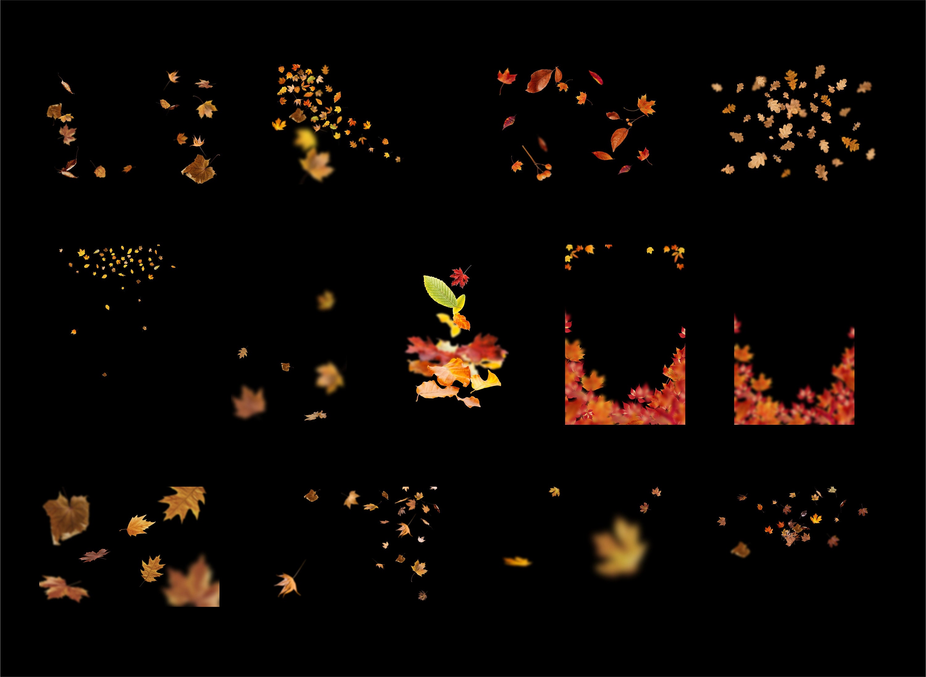 92 Realistic Falling Autumn Leaves Photo Overlays Natural - Etsy