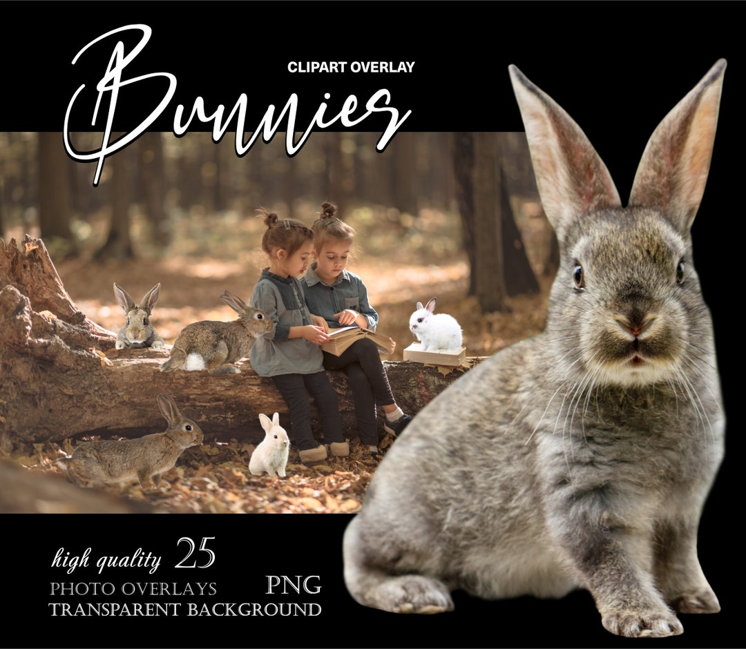 Bunny Clipart Photo Overlays, Easter Bunnies Png, Rabbit Overlays ...