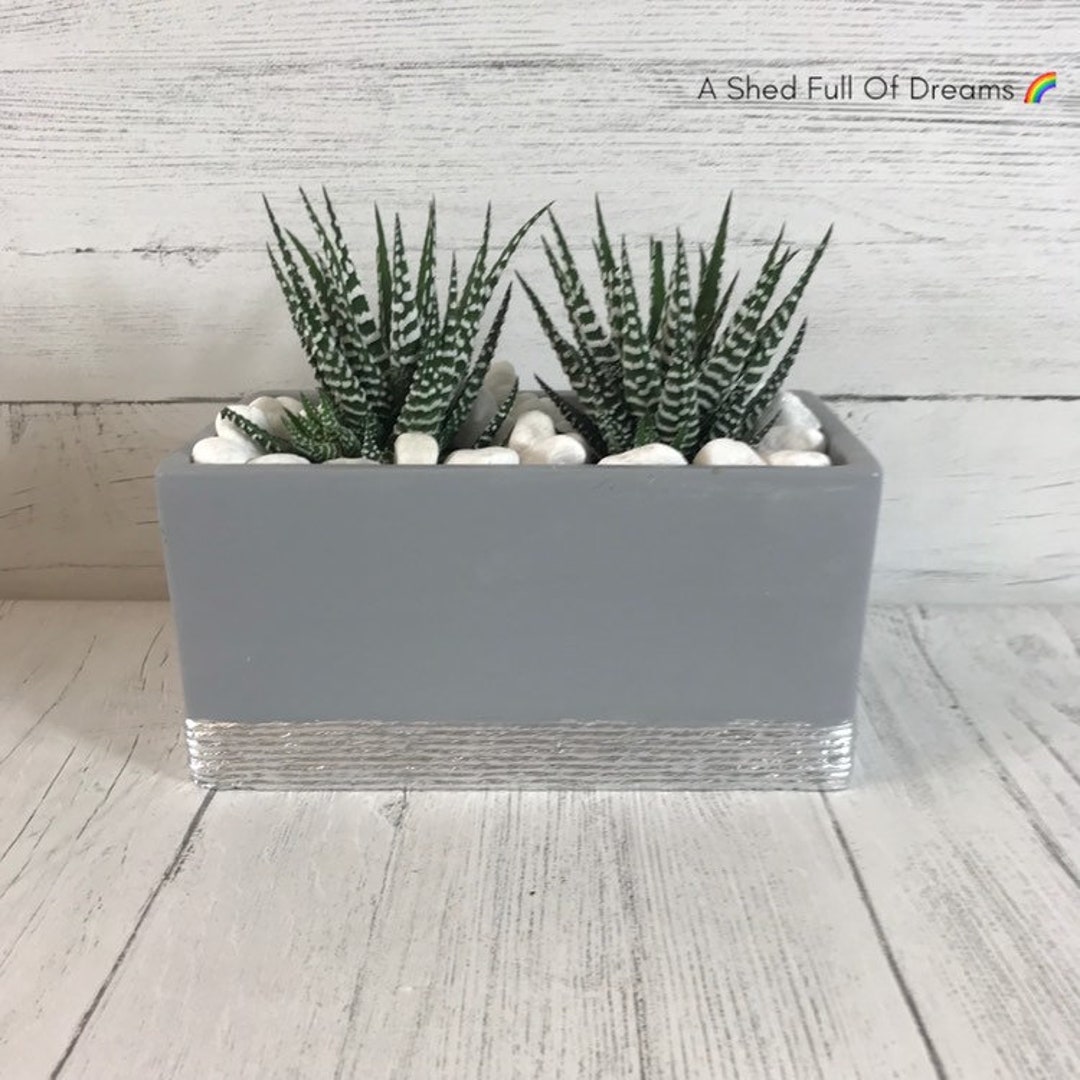 Herb or Plant Trough Pot With Metallic Gilding - Etsy