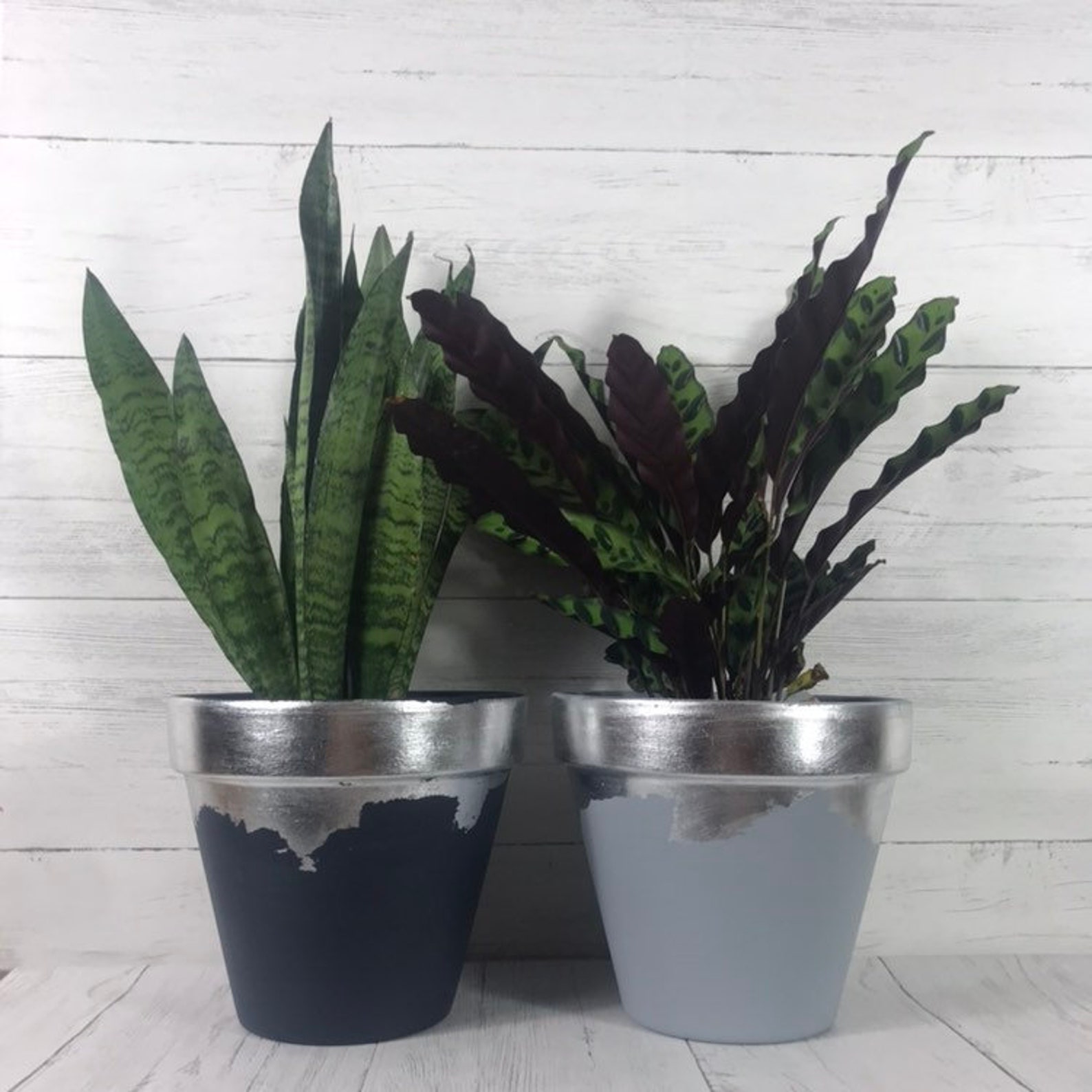 Vintage Style MEDIUM Terracotta Plant Pot - With Metallic Gilded Finish ...