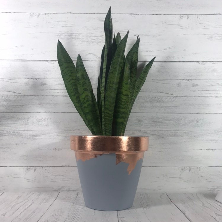 Vintage Style MEDIUM Terracotta Plant Pot - With Metallic Gilded Finish ...