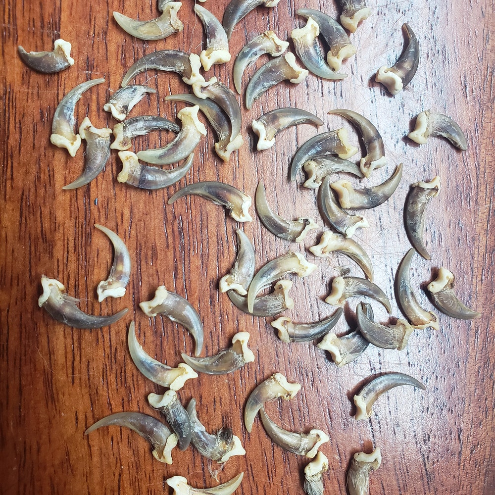 ScavengerTrading - Etsy