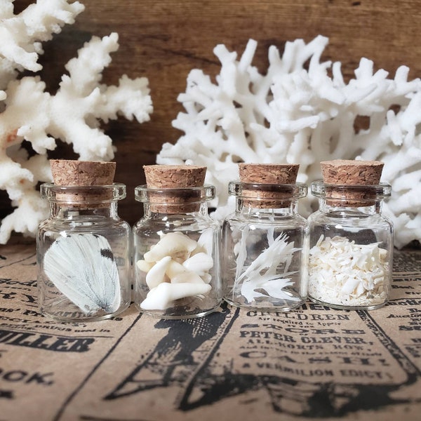 Paddlefish - Etsy