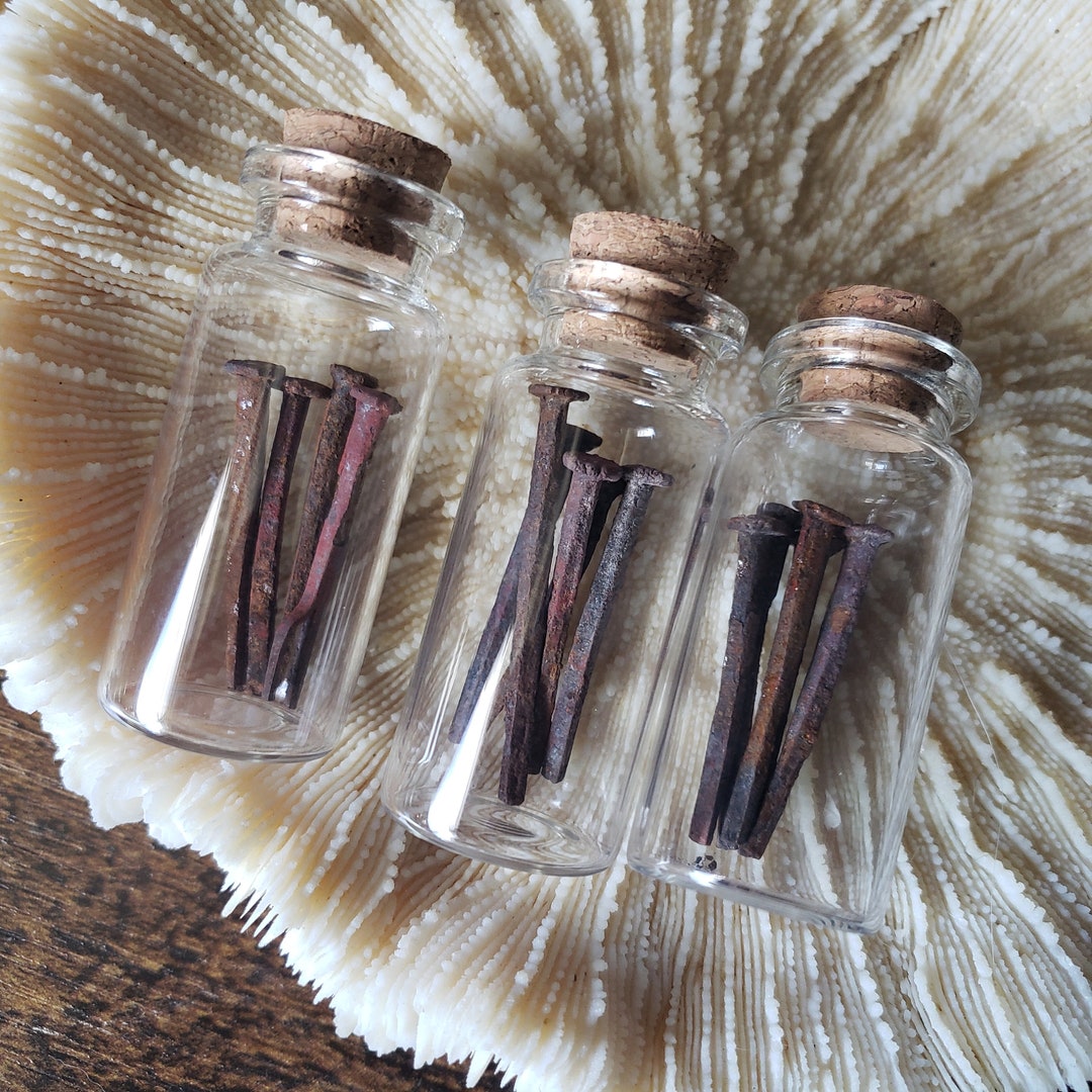 Vintage Antique Coffin Square Nails Set of 4 Nails in Glass Vial ...