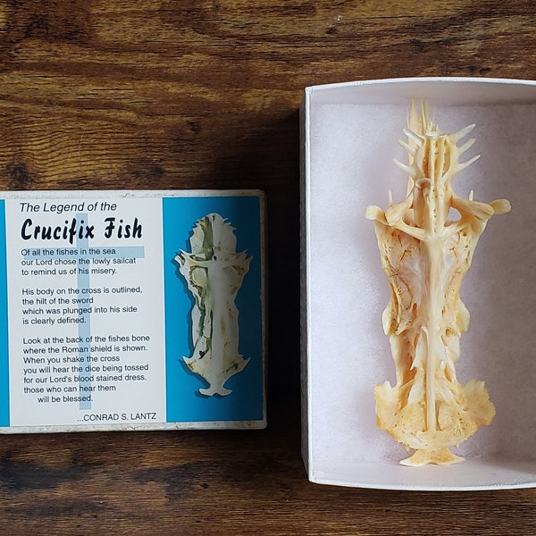 Bone Crucifix - Etsy