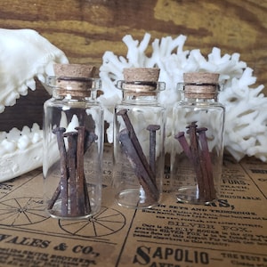 Vintage Antique Coffin Square Nails Set of 4 Nails in Glass Vial ...