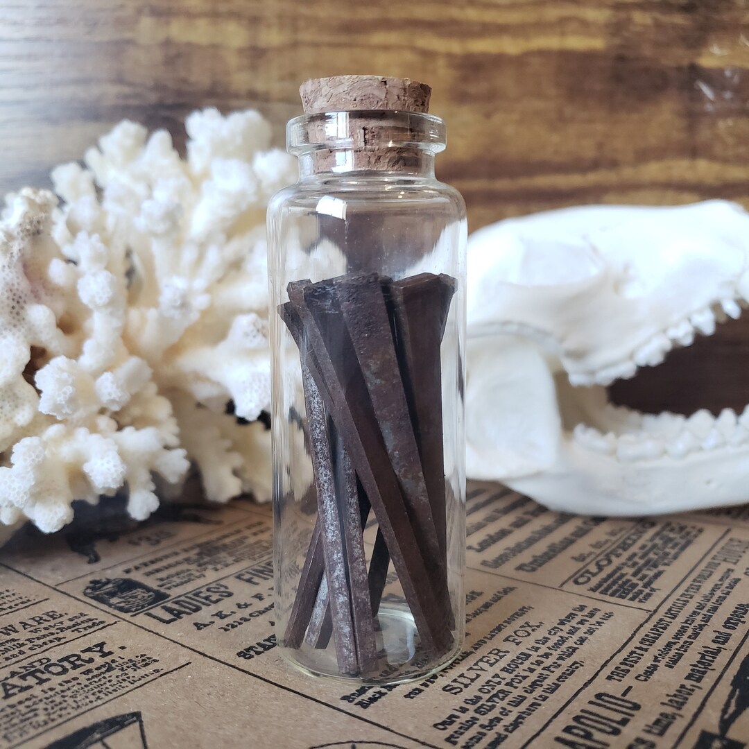 Vintage Coffin Square Nails Set of 10 Nails in Glass Vial • Vulture ...