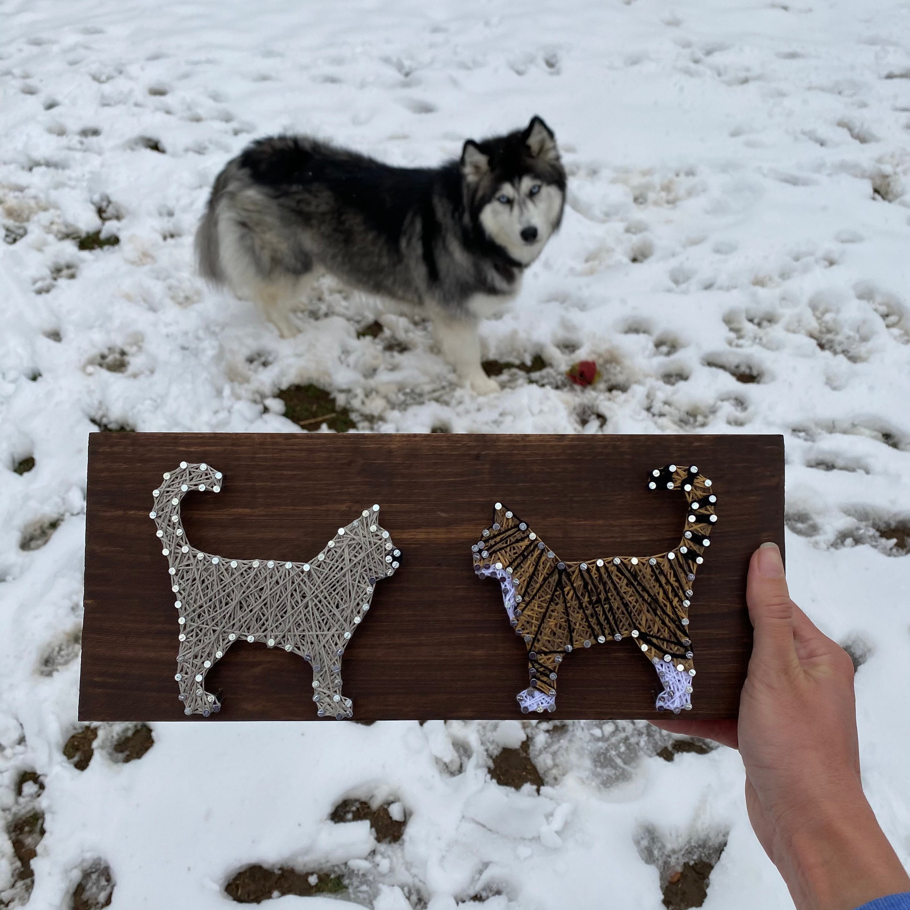 Cat String Art Customizable String Art Pet Passed Away Cat | Etsy