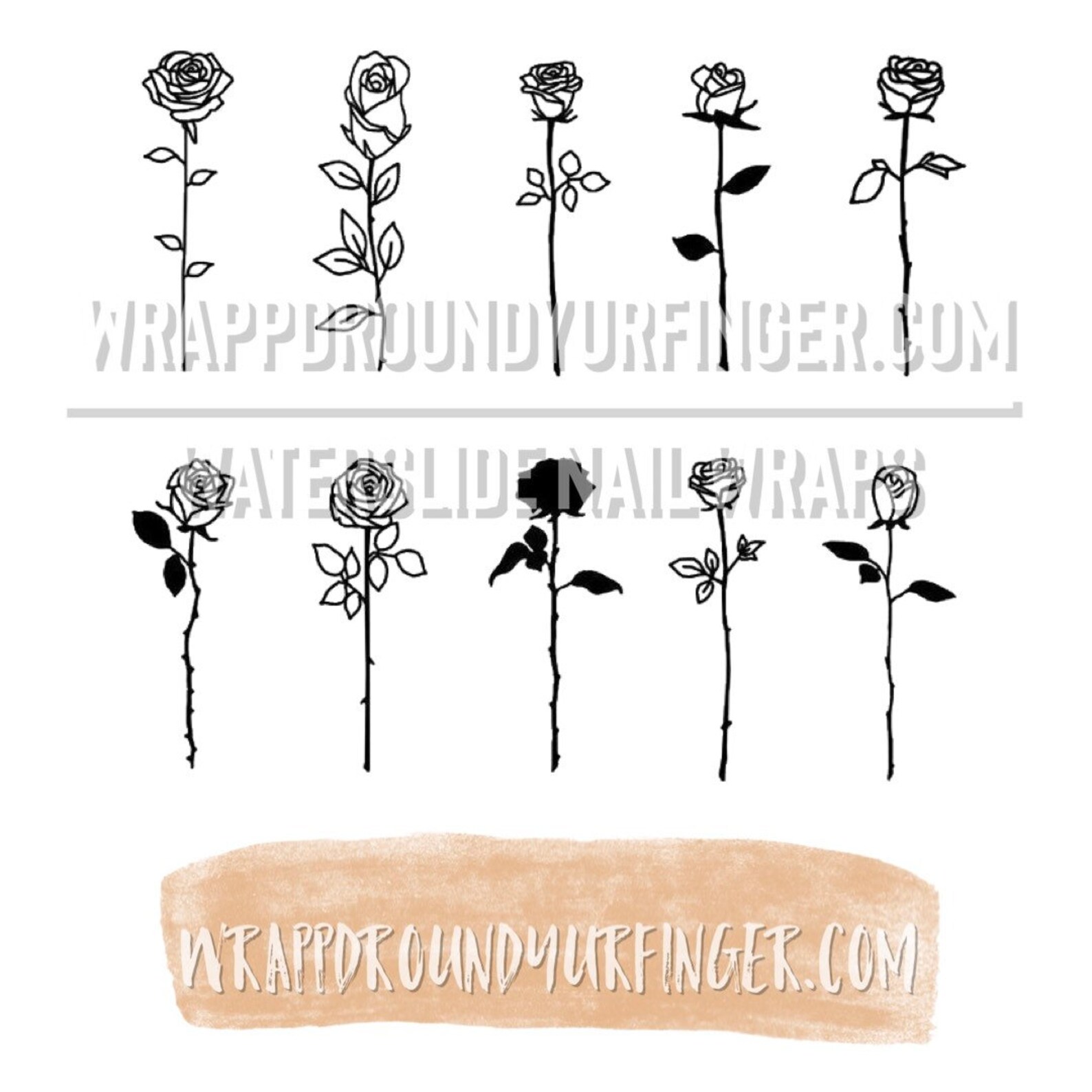 Xtra Long Stem Roses transparent Background - Etsy
