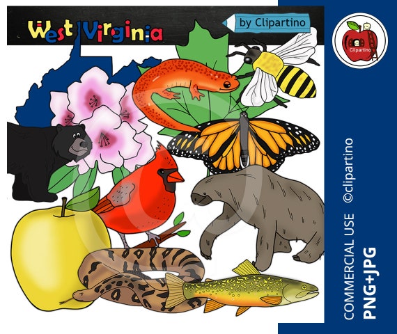 West Virginia Clip Art-west Virginia State Symbols | Etsy