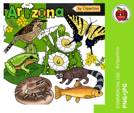 Arizona Bird Logo