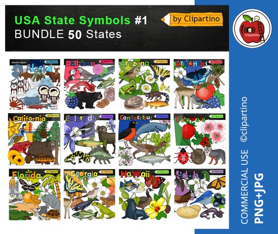 State symbols clip art Bundle-USA All state digital clipart | Etsy